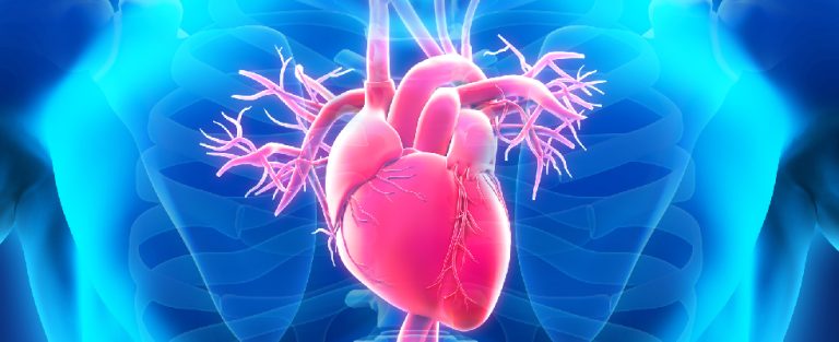 Products – QILU Pharma Spain